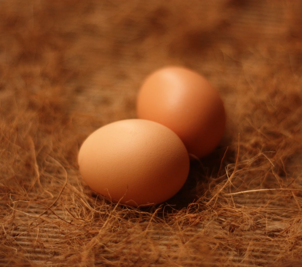 Mengenal Manfaat Telur Omega 3 dan Perbedaannya dengan Telur Ayam Biasa