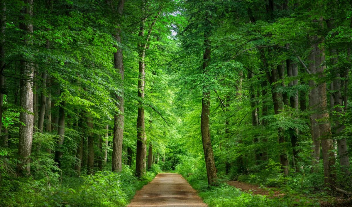 Biologi adalah Ilmu Tentang Alam, Ketahui Berbagai Manfaatnya