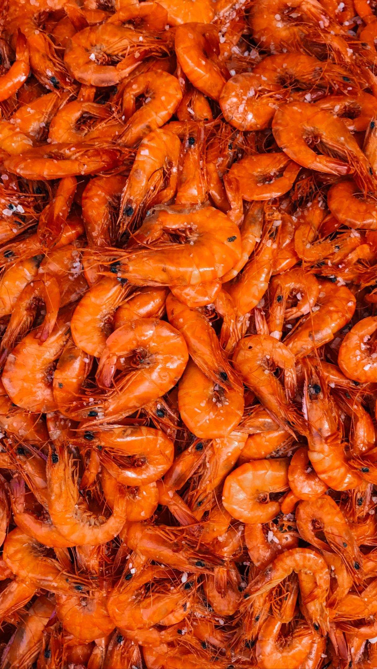 Resep Olahan Udang Aneka Bumbu yang Enak dan Menggugah Selera