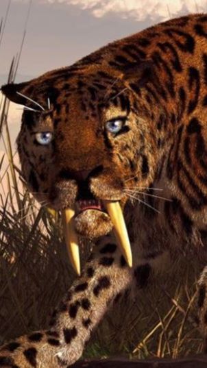 Ilmuwan Temukan Fosil Spesies Baru Kucing Bertaring Pedang, Hidup 5 ...