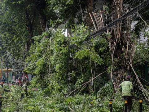 Angin Puting Beliung Terjang Pusat Kota Jember, BPBD Imbau Warga Waspada