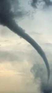 Angin Puting Beliung Terjang Pusat Kota Jember, BPBD Imbau Warga Waspada