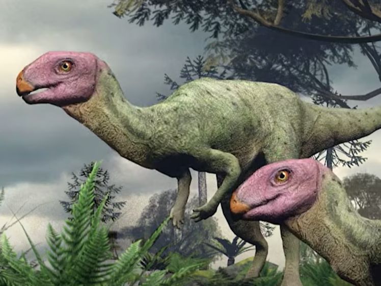 Spesies Baru Dinosaurus Ditemukan di Asia Tenggara, Tulangnya Lengkap ...