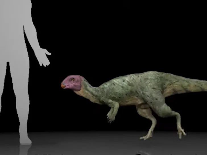 Spesies Baru Dinosaurus Ditemukan di Asia Tenggara, Tulangnya Lengkap ...