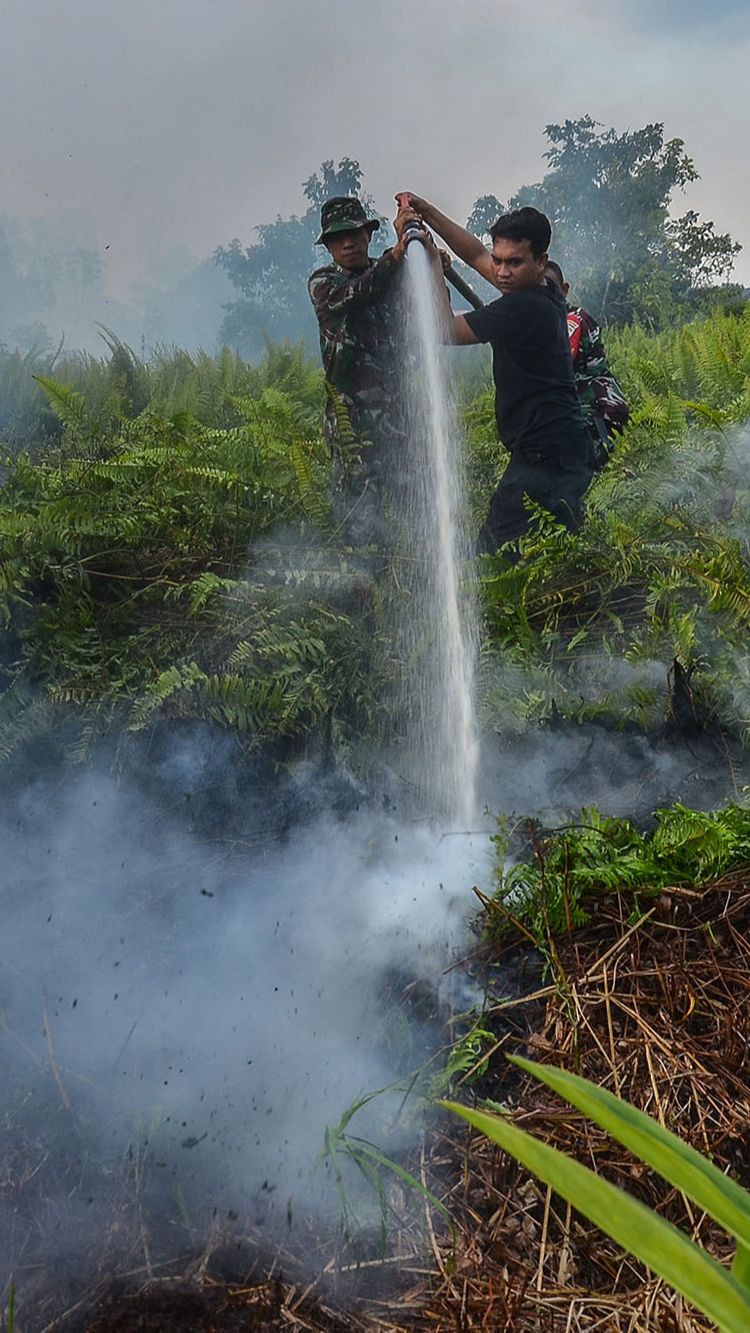 FOTO: Pekanbaru Siaga Kebakaran Hutan Akibat Cuaca Panas Ekstrem ...