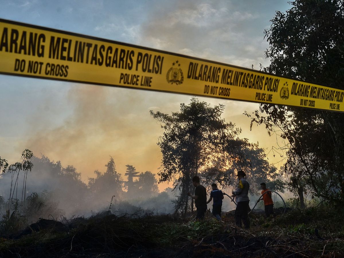 FOTO: Pekanbaru Siaga Kebakaran Hutan Akibat Cuaca Panas Ekstrem ...