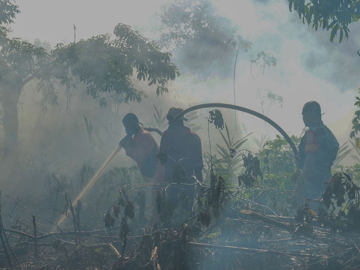 FOTO: Pekanbaru Siaga Kebakaran Hutan Akibat Cuaca Panas Ekstrem ...