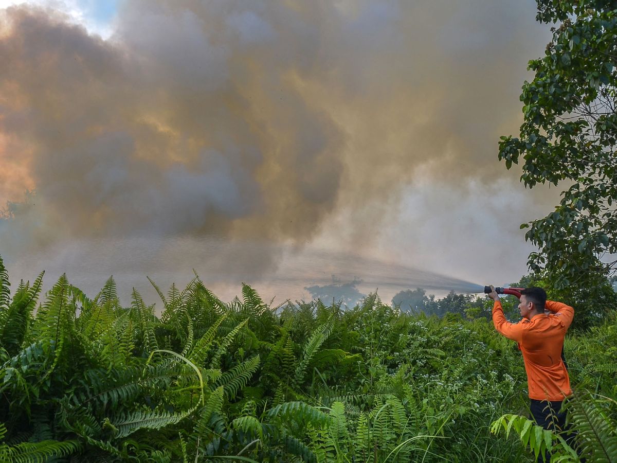 FOTO: Pekanbaru Siaga Kebakaran Hutan Akibat Cuaca Panas Ekstrem ...