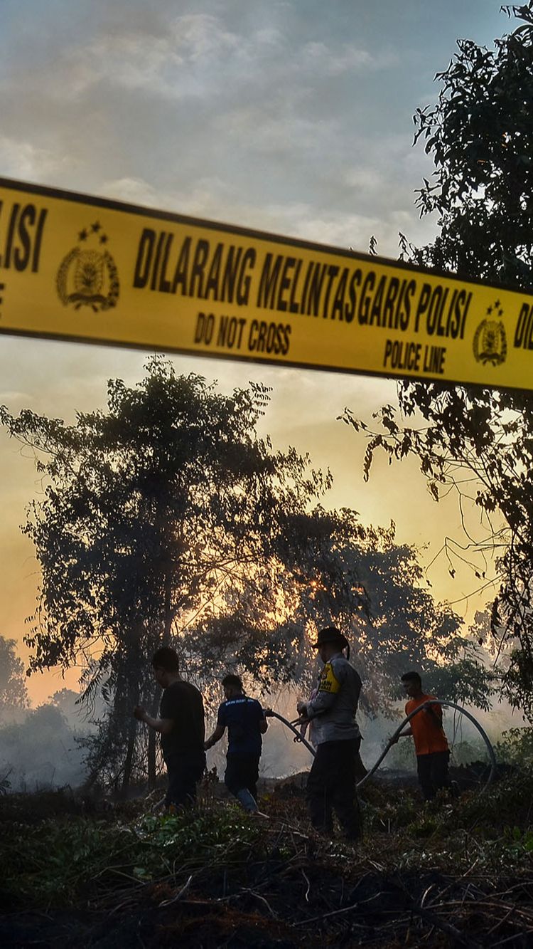 FOTO: Pekanbaru Siaga Kebakaran Hutan Akibat Cuaca Panas Ekstrem ...