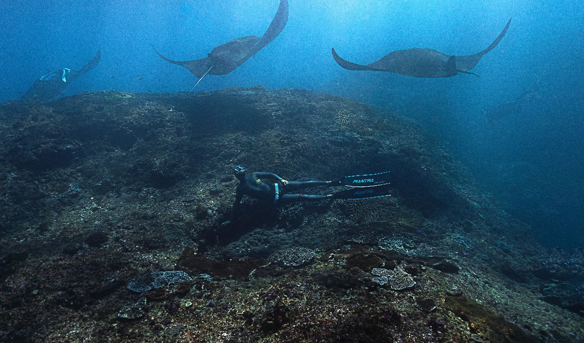 Ikan Pertama yang Bisa Berjalan Ini Simpan Satu Juta Telur di Gunung ...