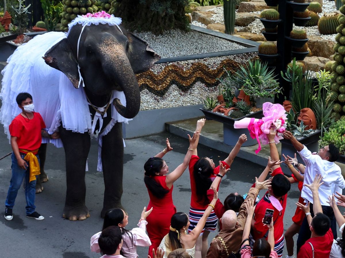 Yayasan Kitong International Kolaborasi Garap Film Gajah Liar