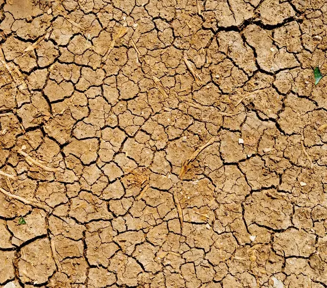 Gunungkidul Siaga Darurat Kekeringan, Ini Fakta di Baliknya