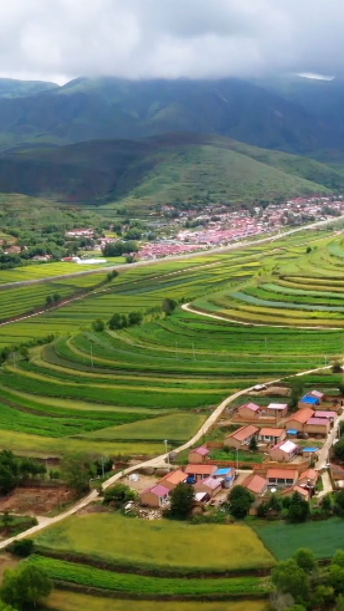 Misteri Gambar Ukiran Batu Berusia 8.000 Tahun yang Dianggap Asal-Usul ...