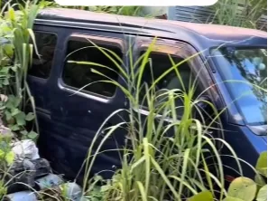 Penampakan 'Kuburan' Mobil di Jepang, Masih Kinclong Tapi Dibuang