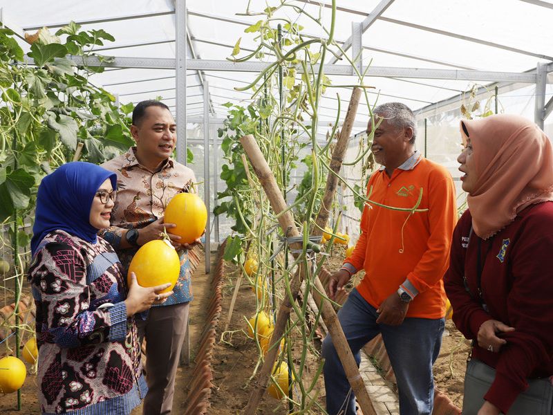 Warga Surabaya Gotong-royong Tanam Sayur dan Buah, Hasil Panen Dipakai ... Warga Surabaya Gotong-royong Tanam Sayur dan Buah, Hasil Panen Dipakai ...