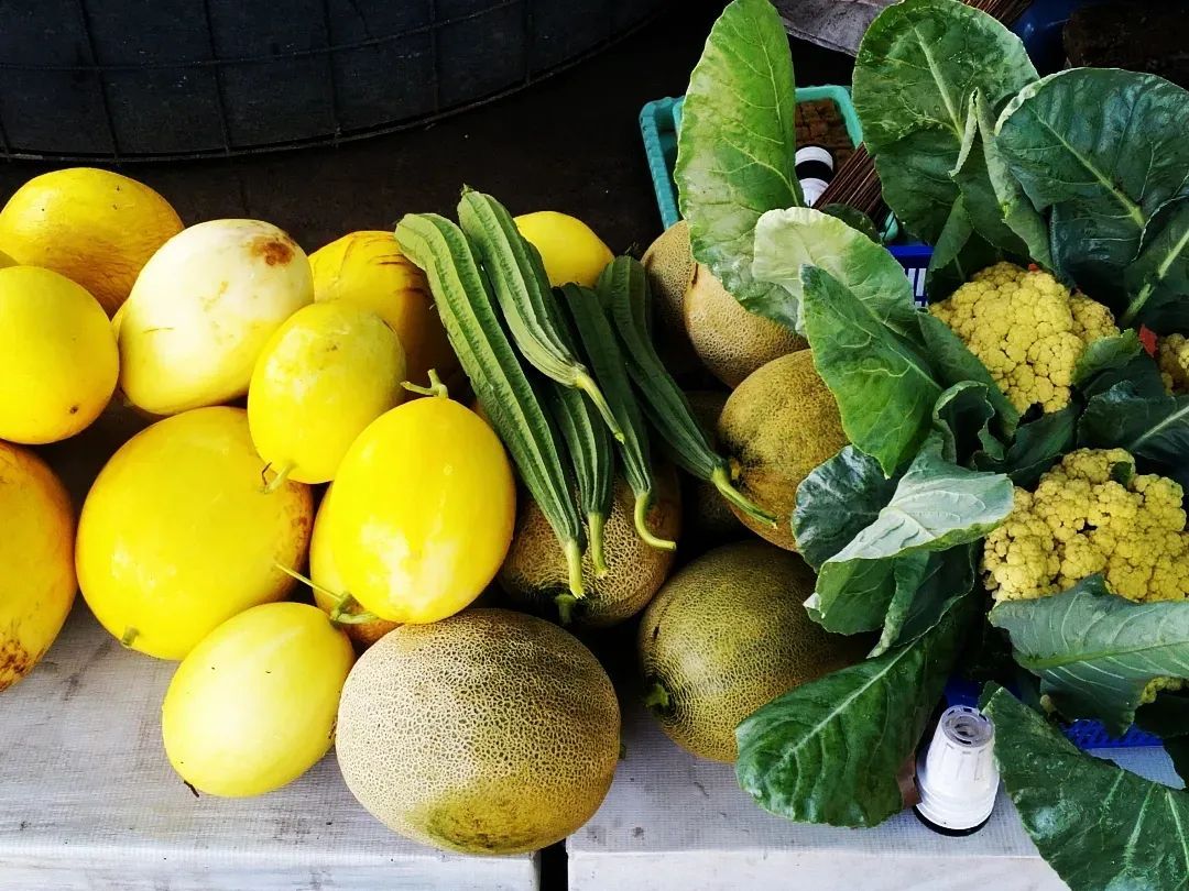 Warga Surabaya Gotong-royong Tanam Sayur dan Buah, Hasil Panen Dipakai ... Warga Surabaya Gotong-royong Tanam Sayur dan Buah, Hasil Panen Dipakai ...