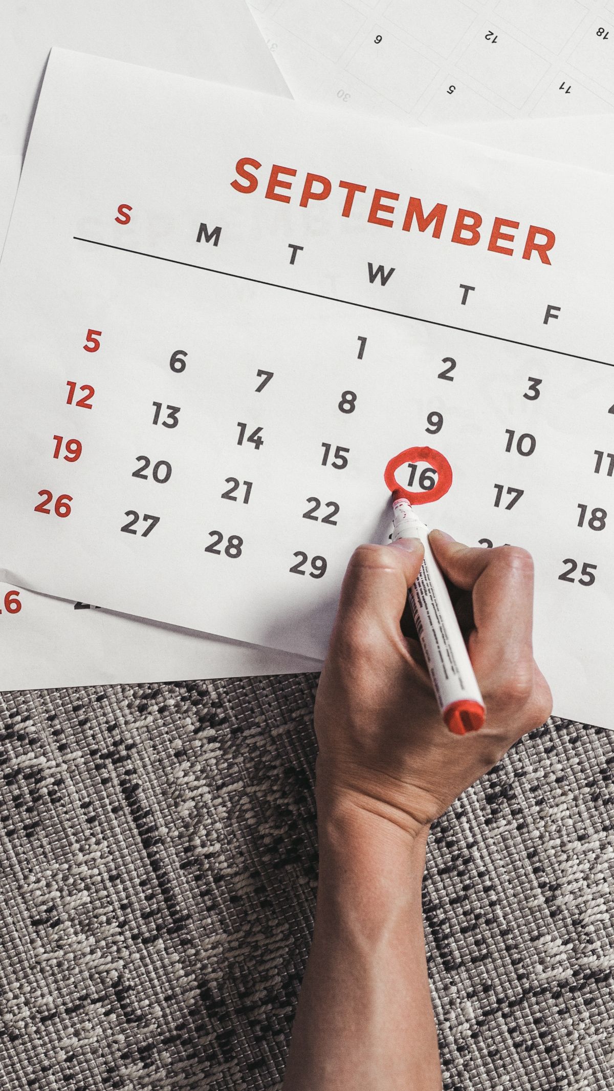 Daftar Tanggal Merah Bulan September 2023, Bisa Libur Panjang