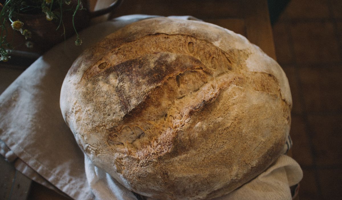 Kenali Dampak Kesehatan Akibat Memakan Roti yang Sudah Kedaluwarsa
