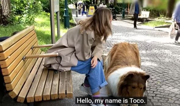 Viral Pria Jepang Wujudkan Impian 'Berubah' Jadi Anjing, Rela Habiskan ...