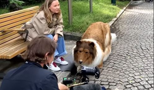 Viral Pria Jepang Wujudkan Impian 'Berubah' Jadi Anjing, Rela Habiskan ...