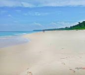 Menilik Pesona Pantai Lamolo, Menawarkan Keindahan Layaknya Laut ...