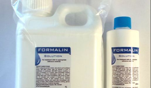 7 Makanan Ini Rawan Mengandung Formalin, Sudah Tahu Ciri-cirinya?