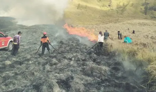 Kebakaran Kawasan Bromo Mulai Padam, Ini Beberapa Hal Bisa Picu Titik ...