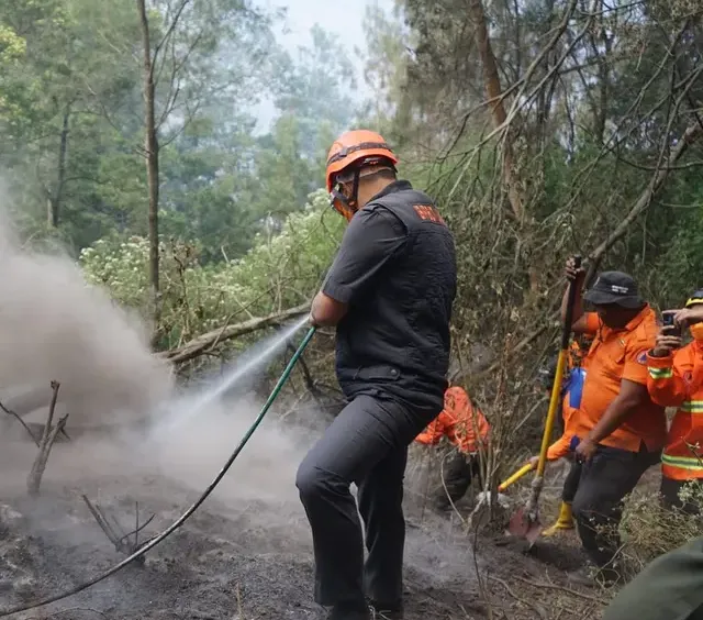 Kebakaran Kawasan Bromo Mulai Padam, Ini Beberapa Hal Bisa Picu Titik ...