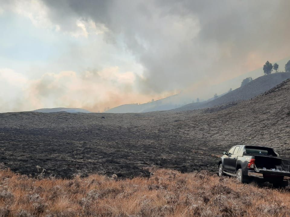Kebakaran Kawasan Bromo Mulai Padam, Ini Beberapa Hal Bisa Picu Titik ...