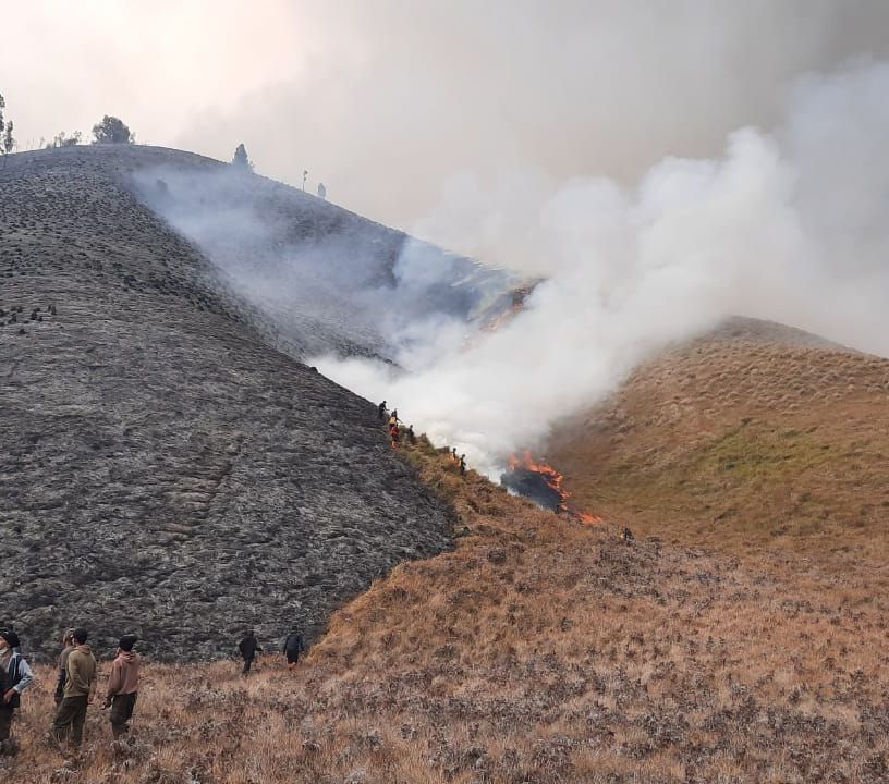Kebakaran Kawasan Bromo Mulai Padam, Ini Beberapa Hal Bisa Picu Titik ...