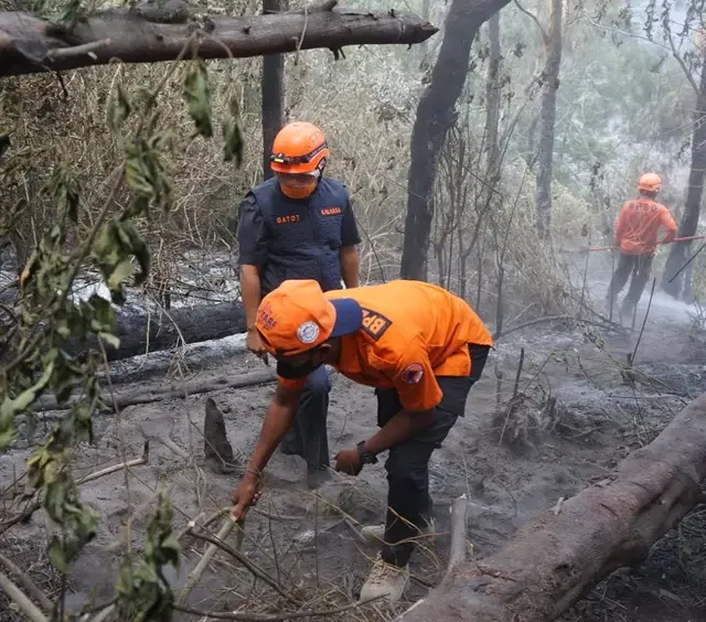 Kebakaran Kawasan Bromo Mulai Padam, Ini Beberapa Hal Bisa Picu Titik ...