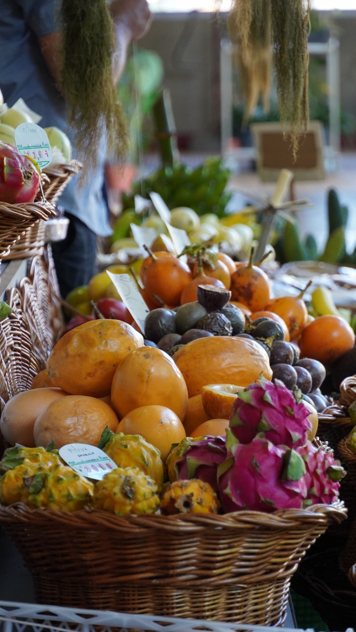 Mengenal Alas Roban, Kawasan Hutan di Jawa Tengah yang Terkenal Angker
