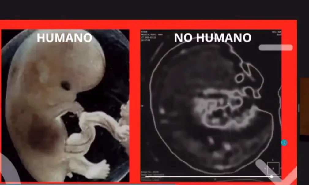 Bikin Geger Penemuan 2 Mayat Alien Berumur 1.000 tahun, Begini Faktanya