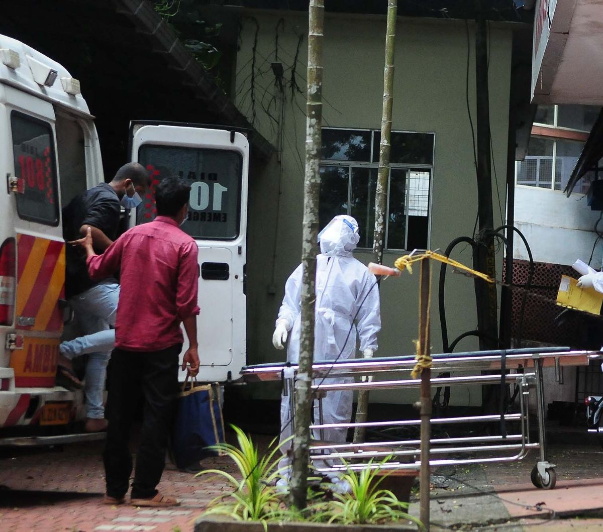 FOTO: Geger! Virus Nipah Menyebar di India Memakan Korban Jiwa, Pertemuan Publik Dilarang dan ...