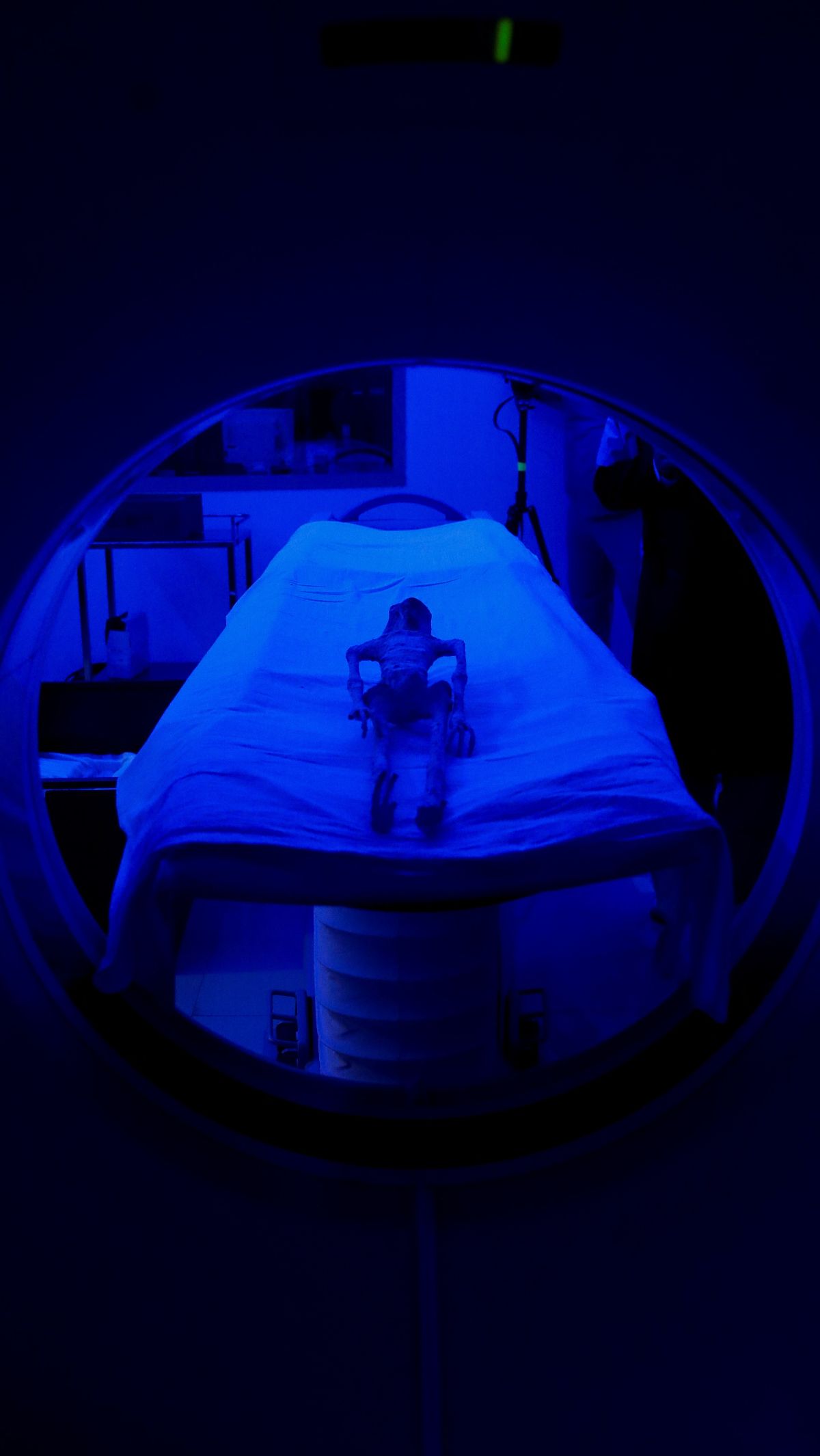 FOTO: Melihat Para Peneliti Meksiko Periksa Dua Tubuh Mumi Alien ...