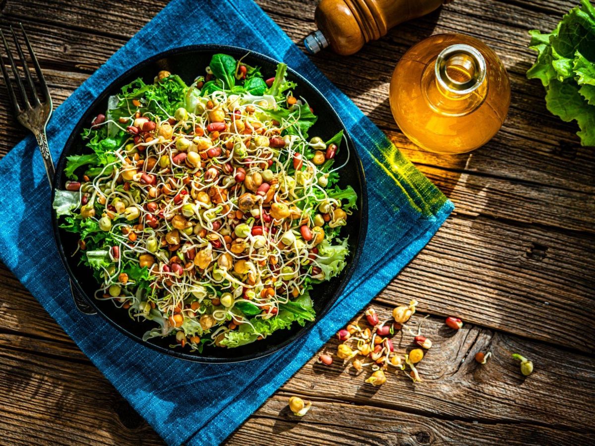 Perkecambahan Adalah Tahap Awal Perkembangan Tumbuhan, Berikut ...