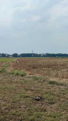 Tiga Lokasi Pilihan Gernas Tanam Padi 500 Ribu Ha di Blora