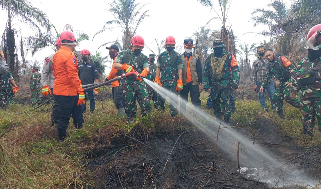 Beraksi Bak Petugas Damkar, Potret Gagah Jenderal Dudung Berjibaku Padamkan Kebakaran Hutan di Jambi