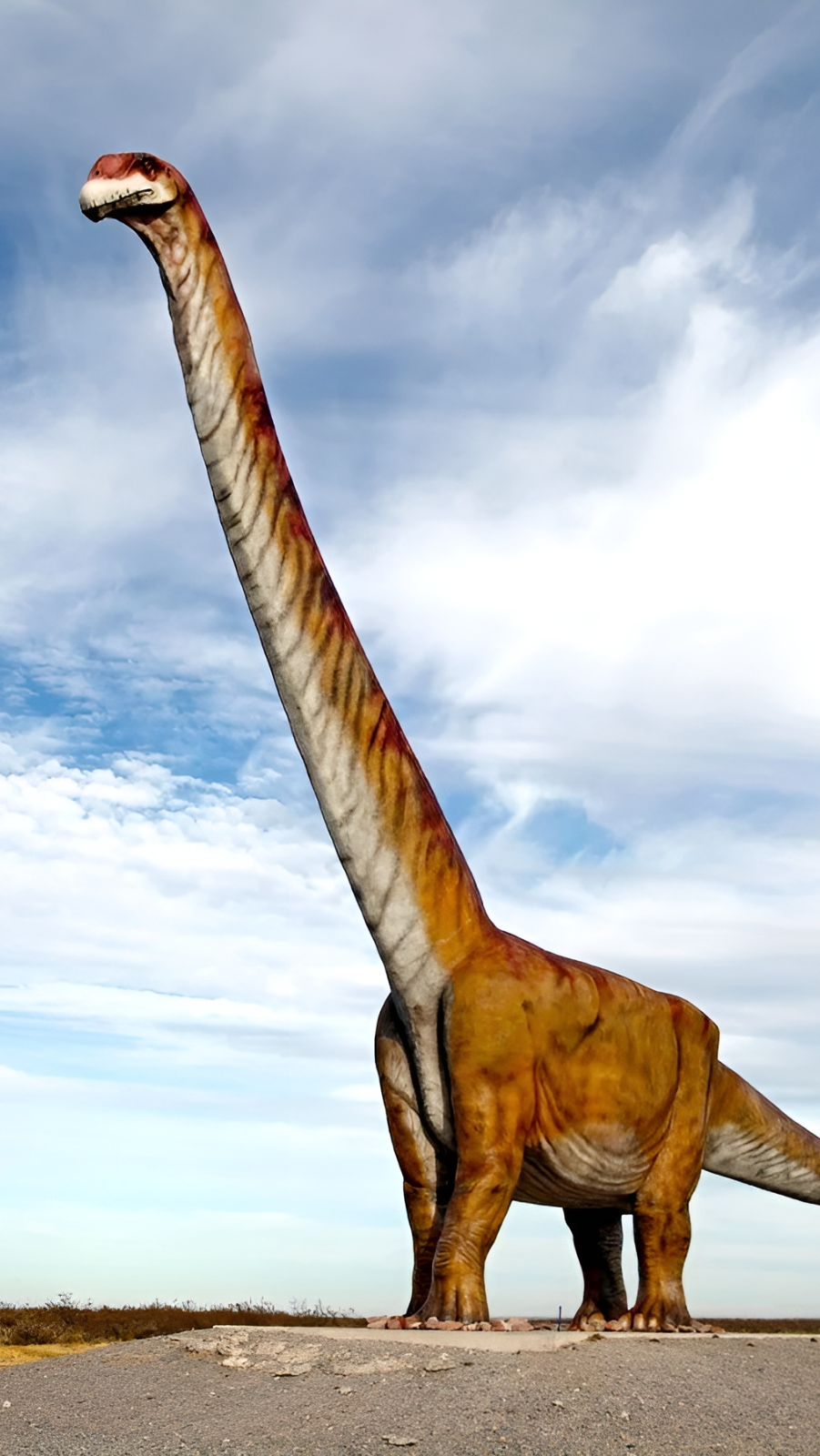 Spesies Baru dari Dinosaurus Sauropod Telah Ditemukan di Argentina ...
