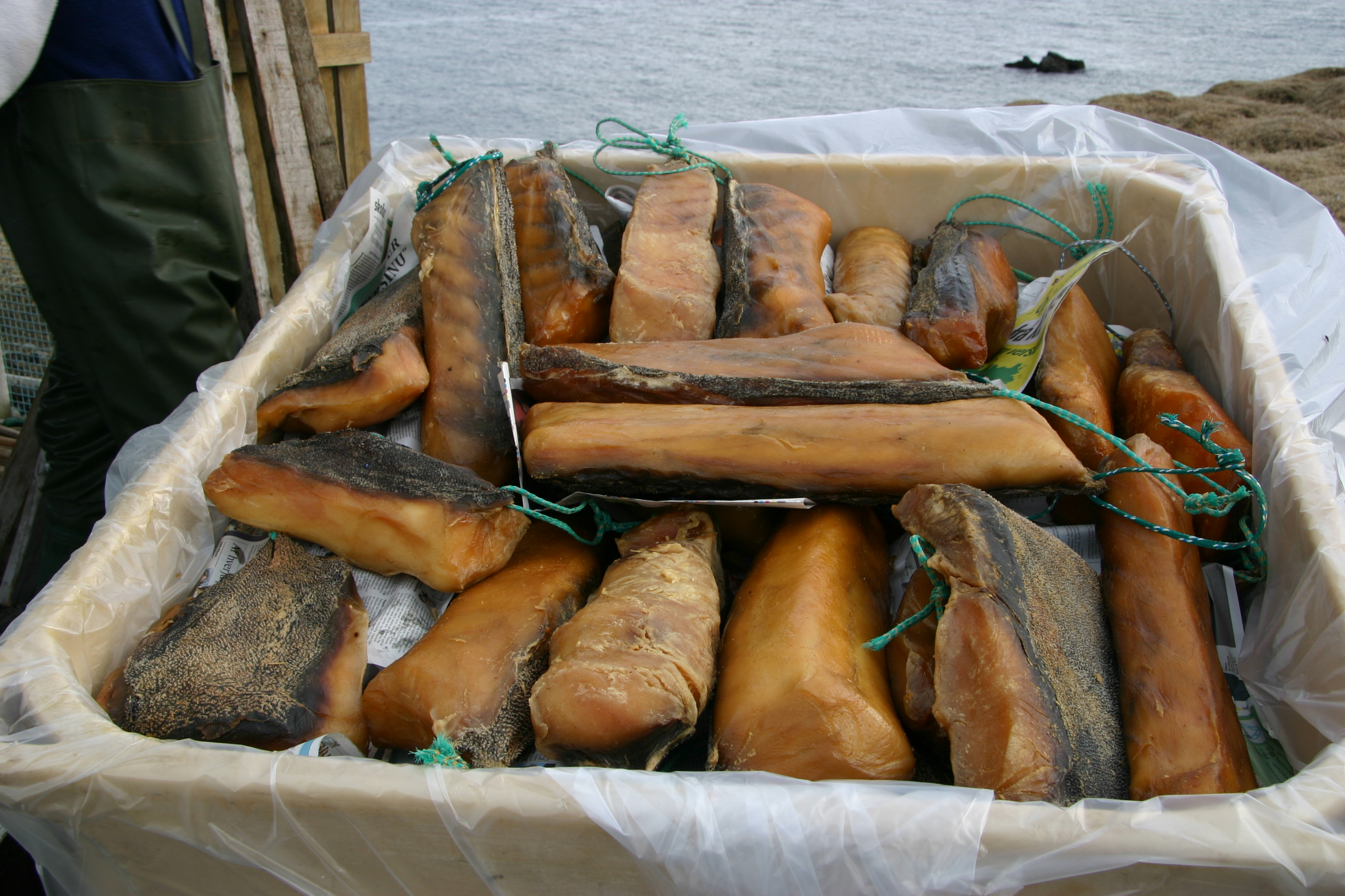 Hakarl, masakan berbau paling busuk se-Islandia | merdeka.com