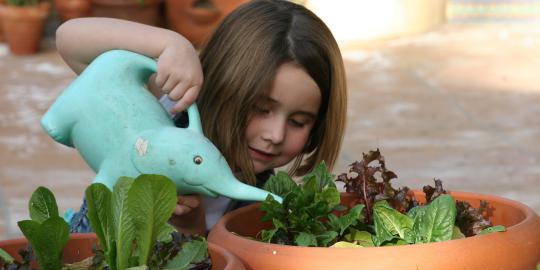 8 Hobi untuk anak agar mencintai alam