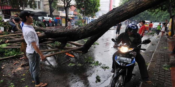 Angin kencang karena badai tropis | merdeka.com