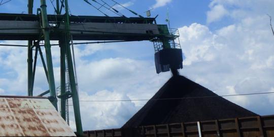 ABM Investama teken penjualan batubara dengan AVRA Commodities