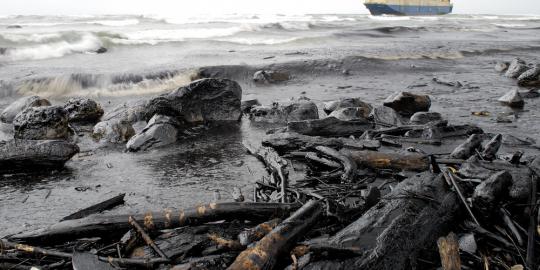 Bioremediasi musnahkan pencemaran minyak mentah? | merdeka.com