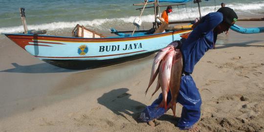 Tata distribusi ikan, KKP baru buat master plan