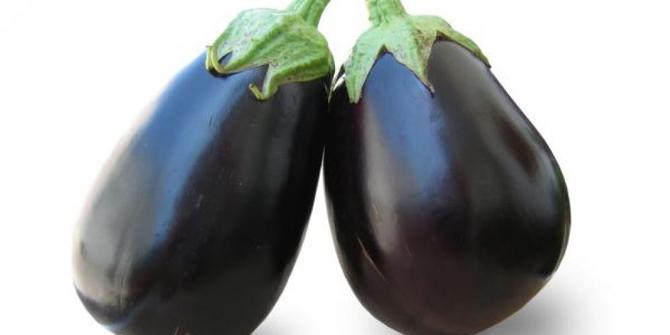 3 Alasan Anda harus makan terung | merdeka.com