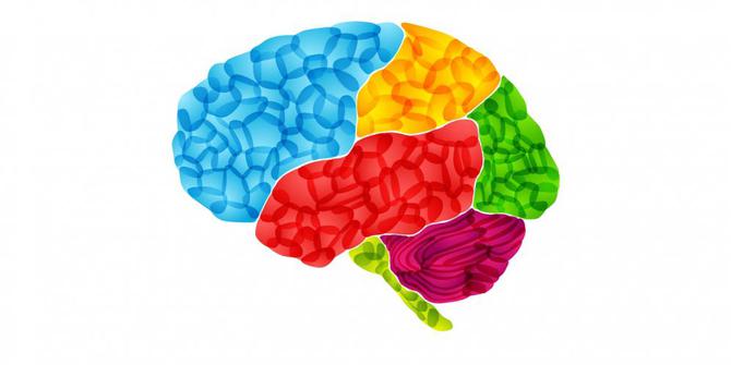 Fakta di balik 3 mitos tentang otak | merdeka.com