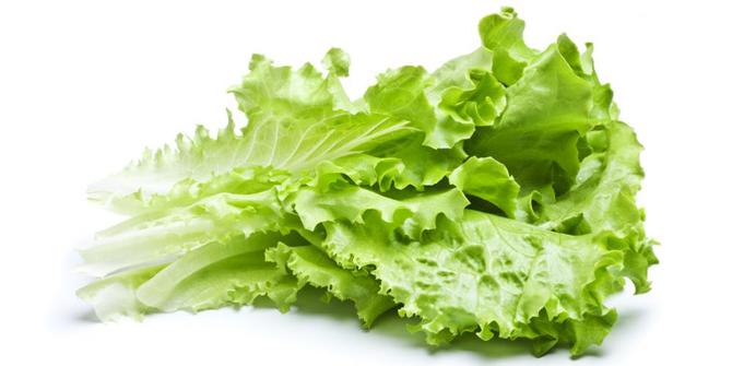 Selada, sayur rendah kalori yang penuh nutrisi | merdeka.com