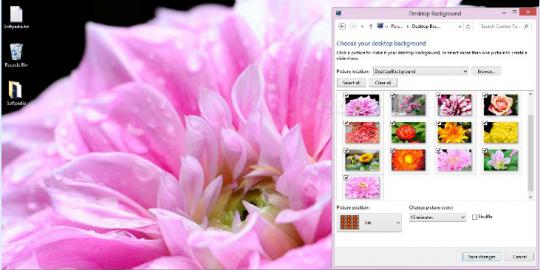 Microsoft luncurkan tema Fantastic Flower untuk Windows | merdeka.com