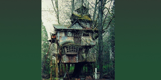 10 Rumah pohon ini lebih keren dari apartemen | merdeka.com